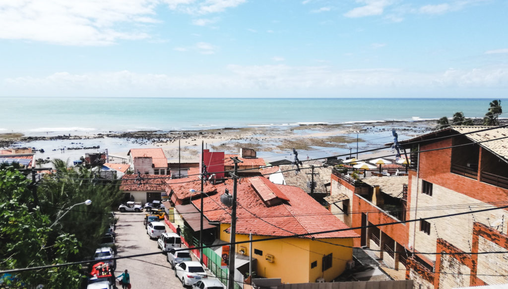 Where to kayak with wild dolphins in Pipa, North-East Brazil